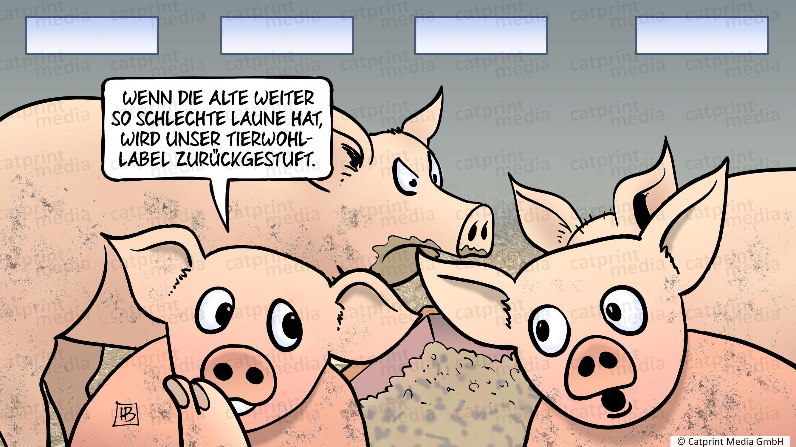 Tierwohl-Labelstufen - Catprint Media GmbH